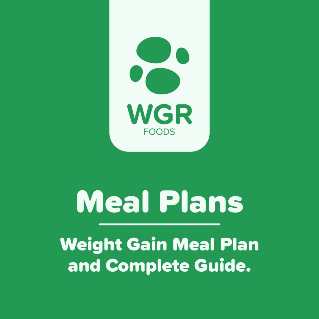 Weight Gain Meal Plan and Complete Guide - Weight Gain and Recovery